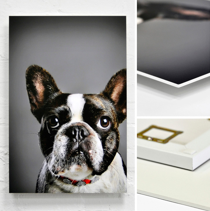 BAX Imaging - High Quality Canvas & Prints!